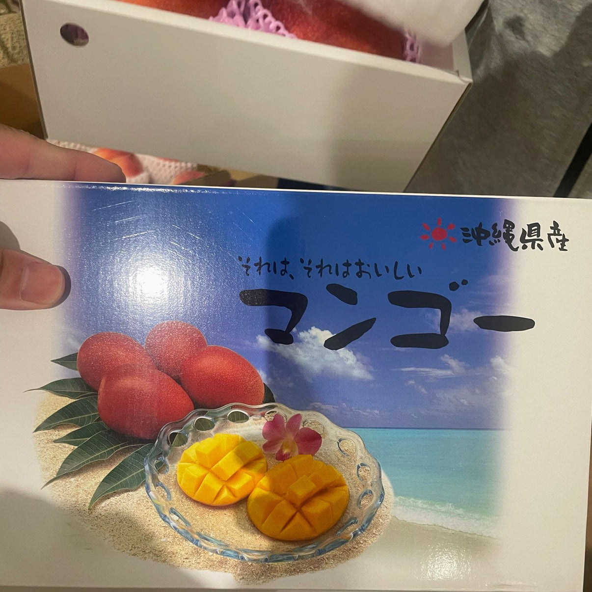 Okinawa Mango (400-500gm) – Bidfood Singapore Pte Ltd
